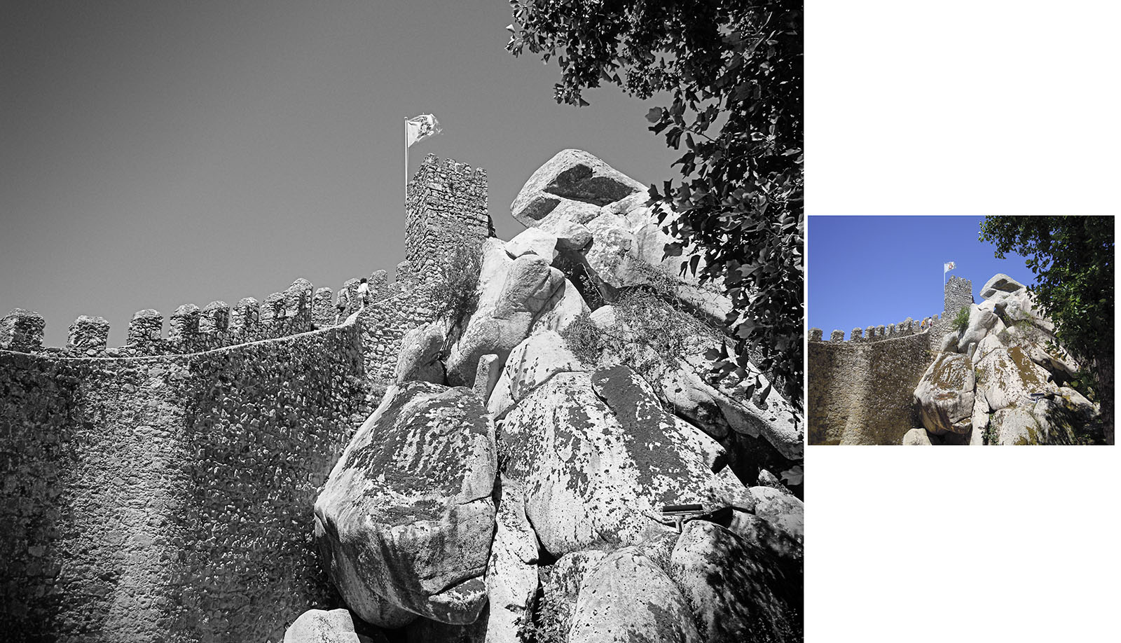 Vision XI – Paco Rocha