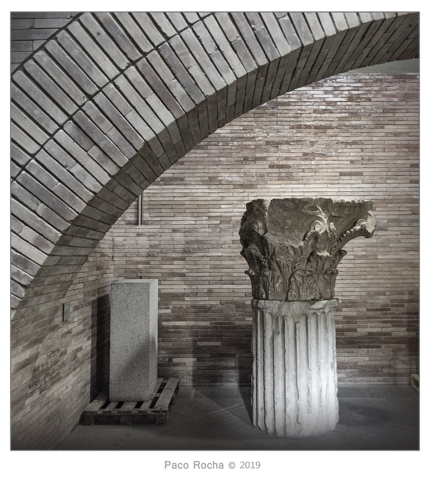 Continente y Contenido. Paco Rocha