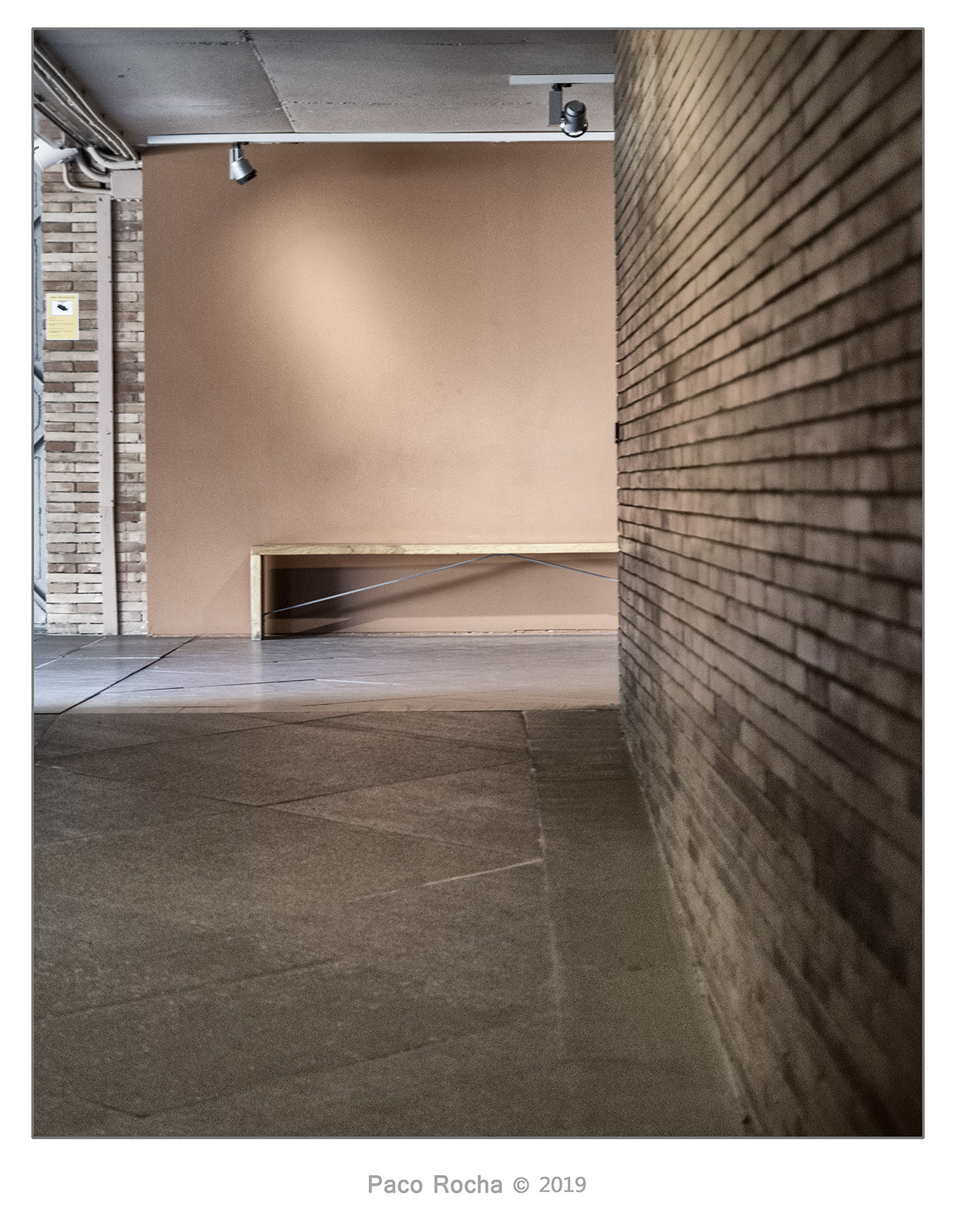 Continente y Contenido. Paco Rocha